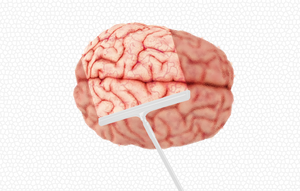 Does sleep really 'wash' your brain?